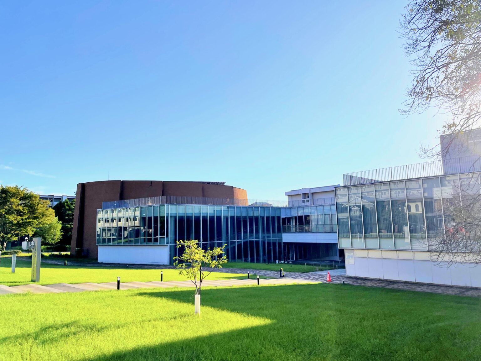 ICEL 2024 | The 14th International Conference on Electroluminescence and Optoelectronic Devices